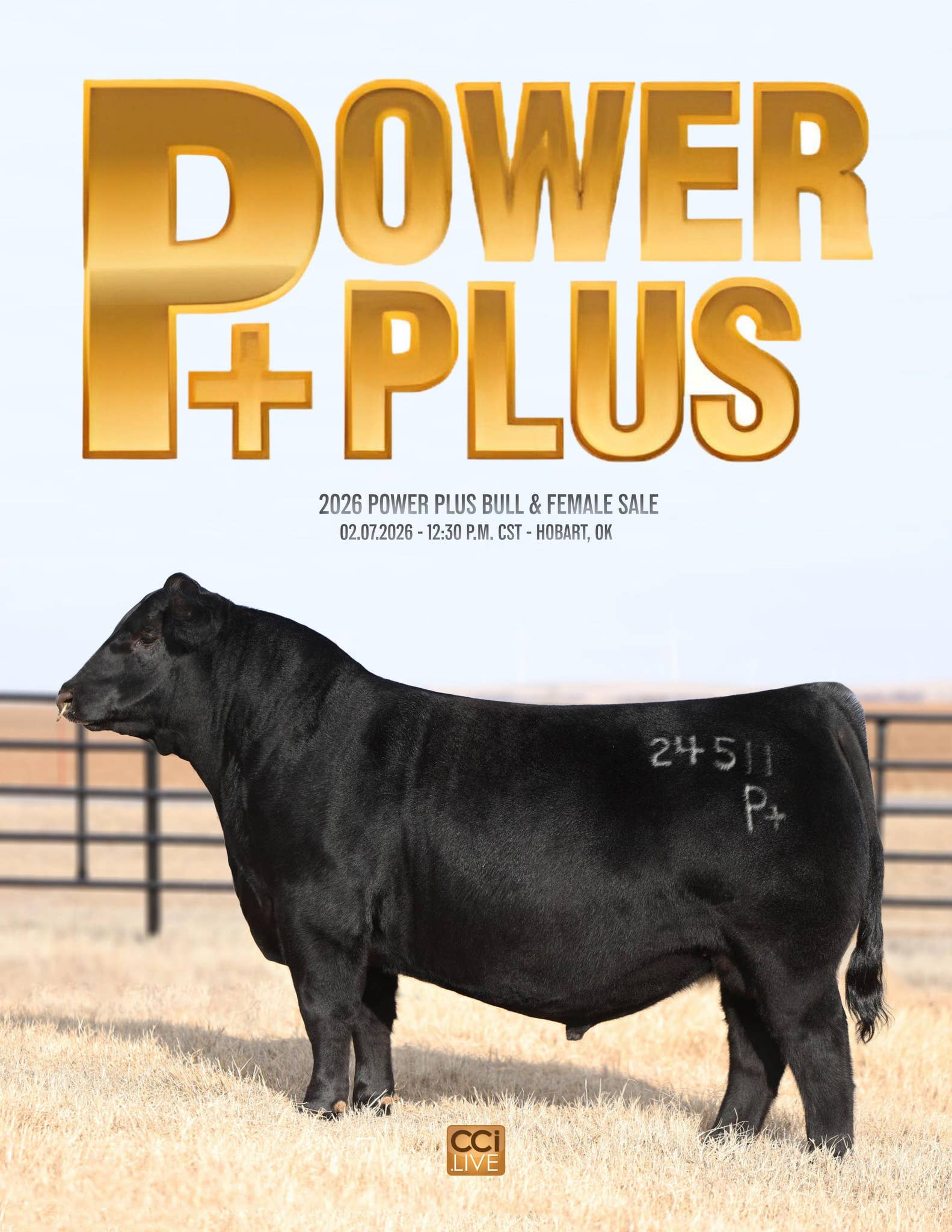 2026 Power Plus Bull & Female Sale by Sara Frost-Porter - Issuu