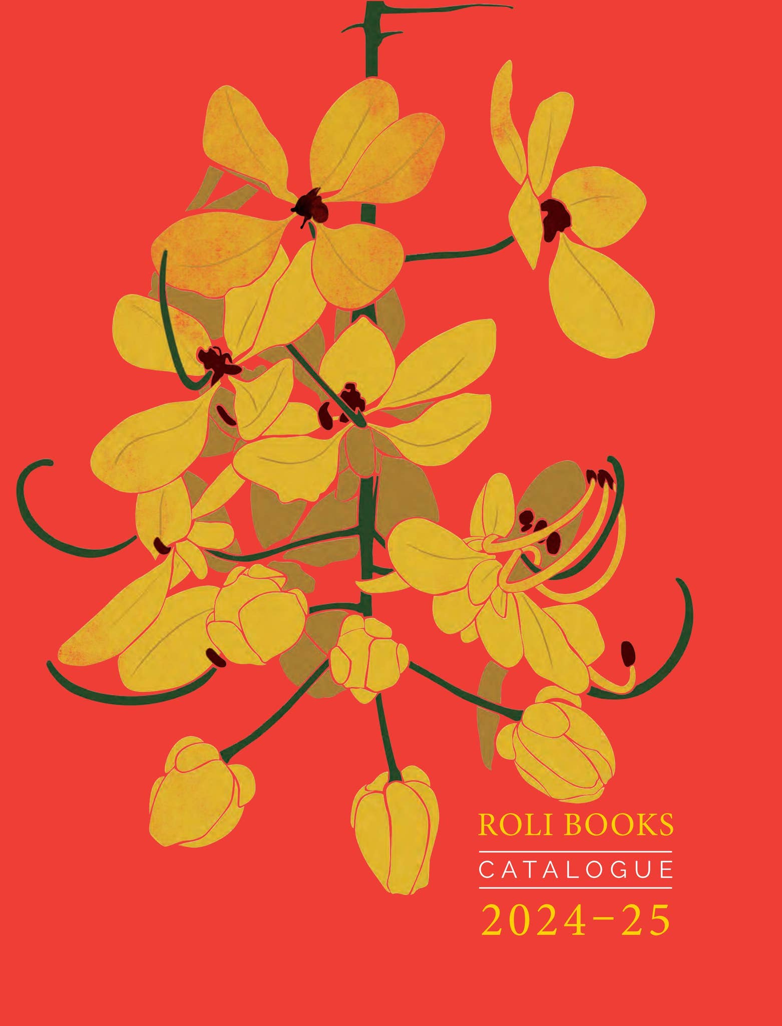 Roli Catalogue 2024-2025 by Roli Books - Issuu