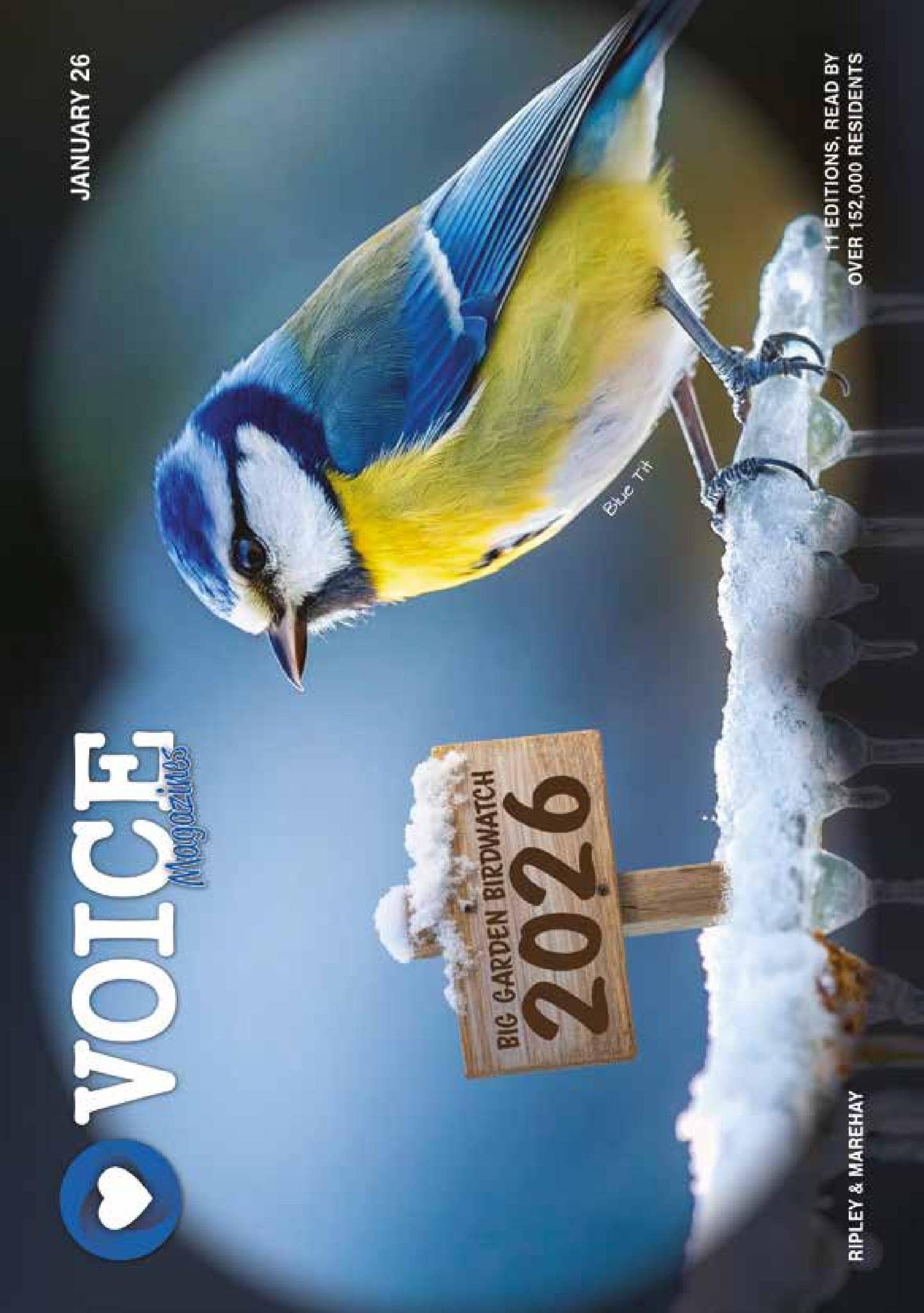Voice Magazines - Ripley & Marehay - January 2026 by Voice Magazines ...