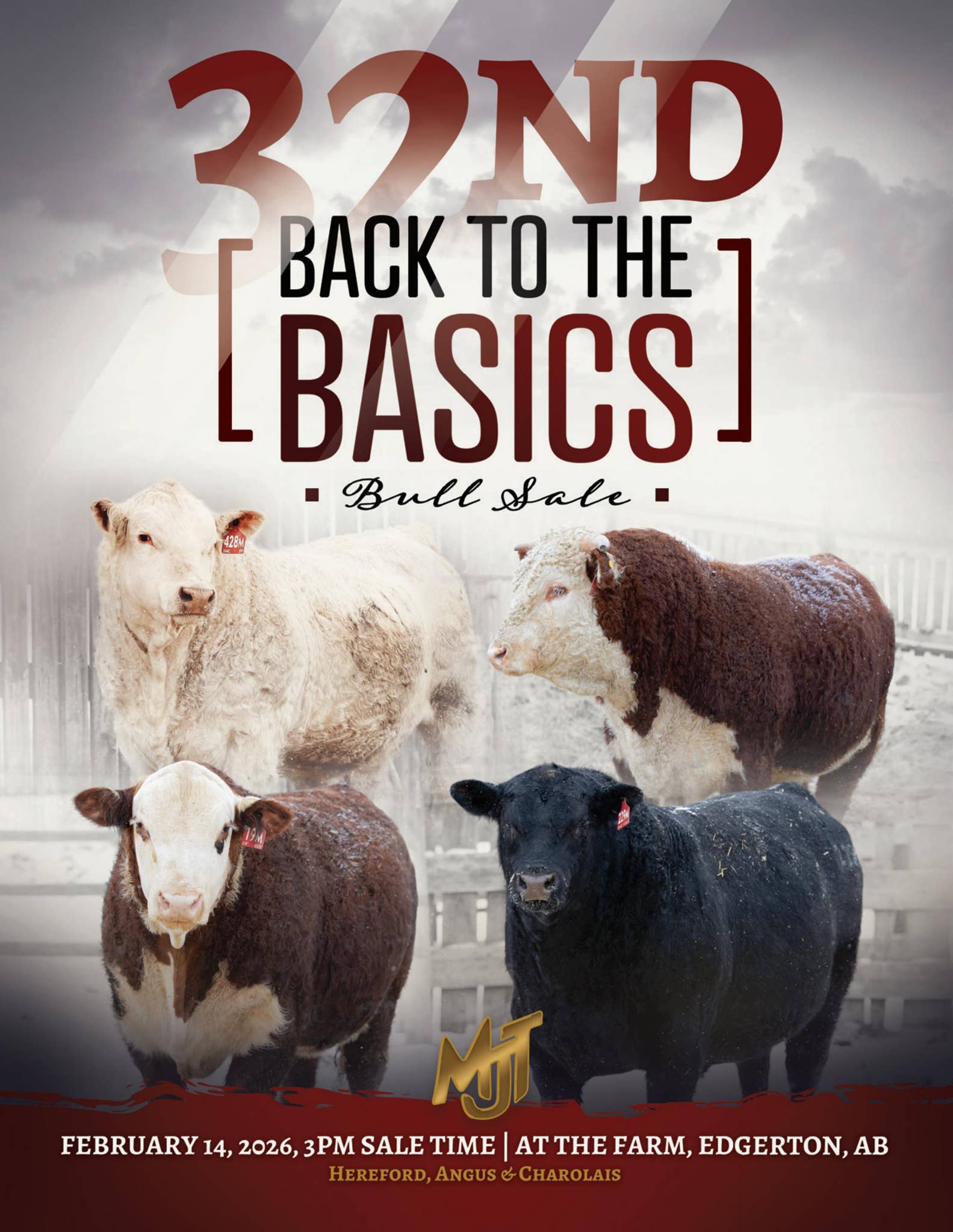 MJT Back to the Basics Bull Sale 2026 by jamieraepittman - Issuu