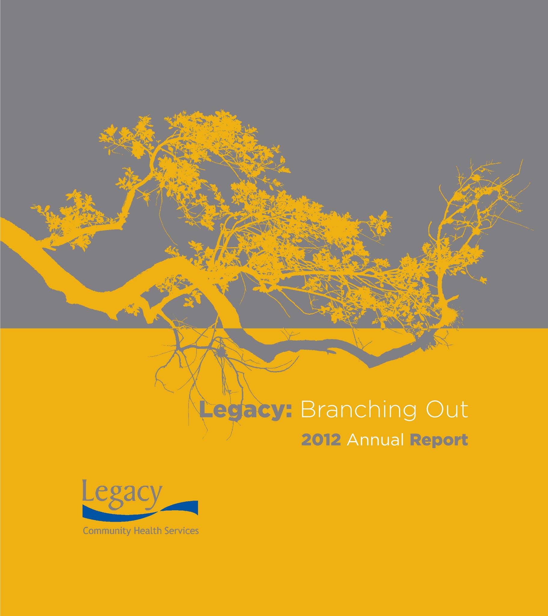 2012 Legacy Community Health Annual Report by Legacy Community Health ...