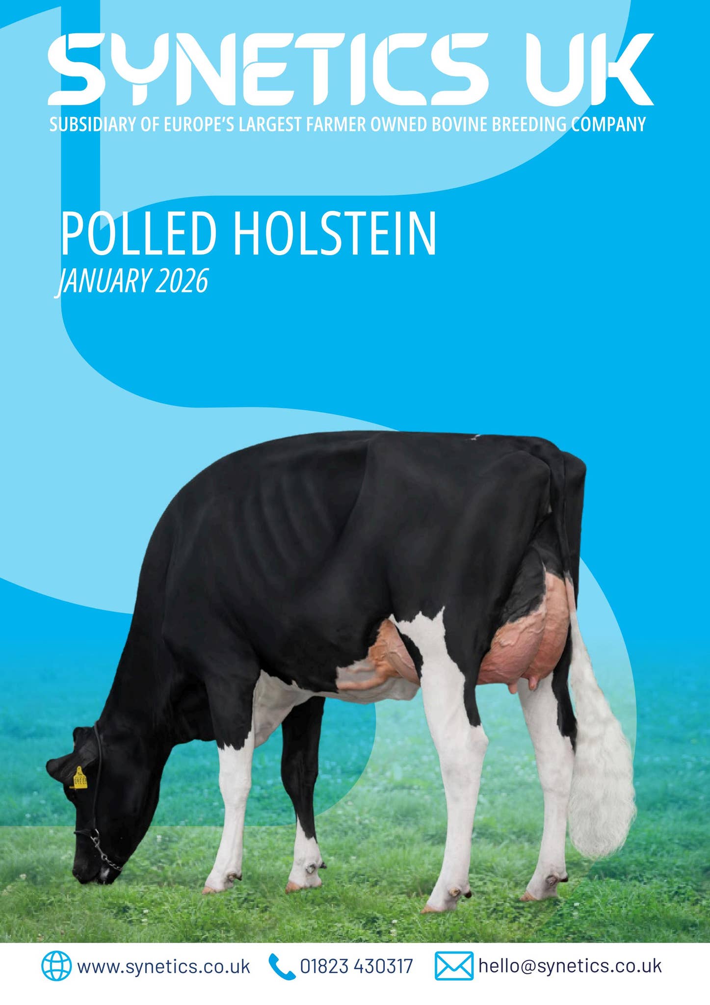POLLED HOLSTEIN JANUARY 2026 by Synetics UK - Issuu
