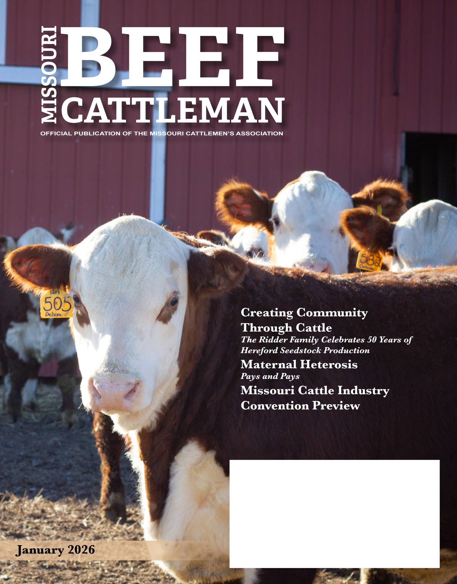 January 2026 - Missouri Beef Cattlemen by Missouri Cattlemen's ...