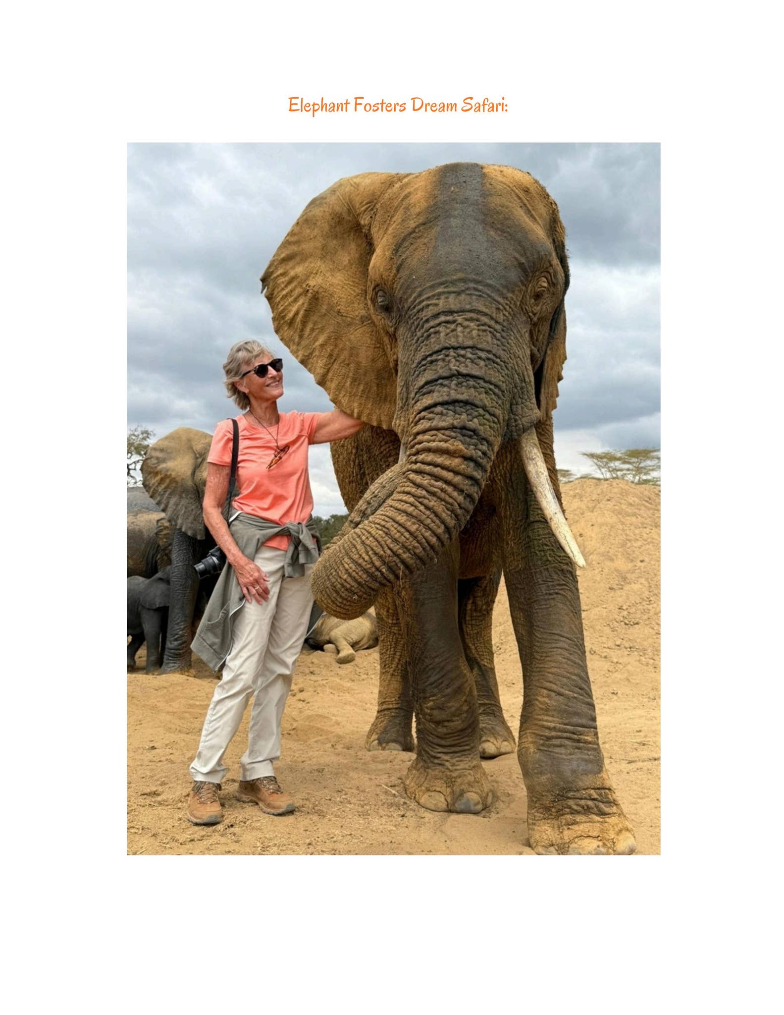 Elephant Fosters Dream Safari 2027.pdf by Kichakani Sunset - Issuu