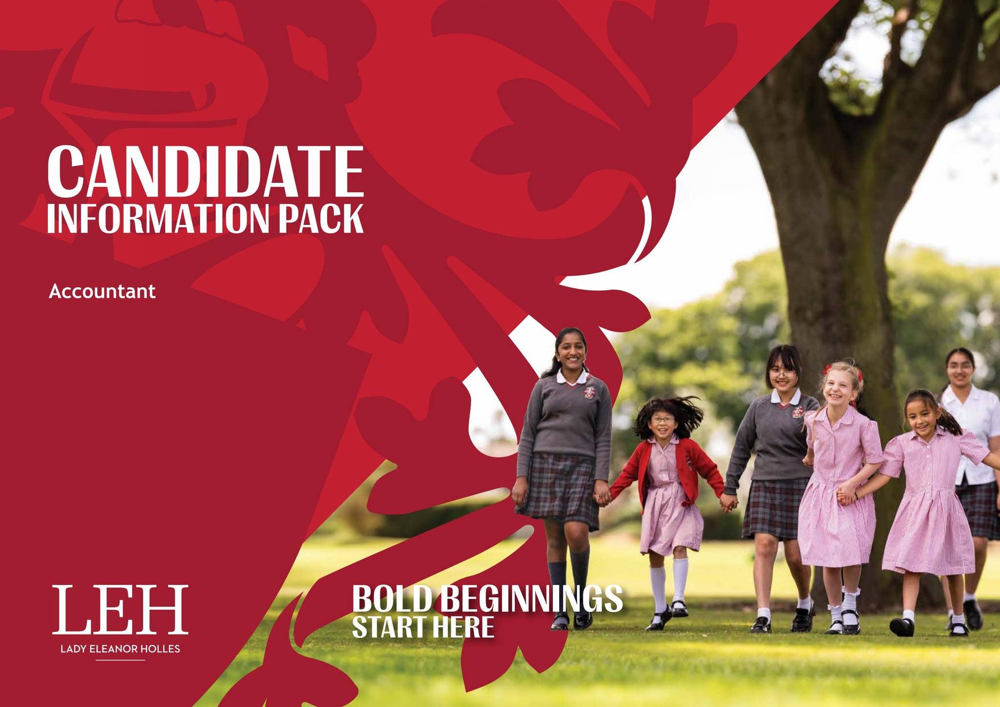 Accountant - Recruitment Pack January 2026 by Lady Eleanor Holles - Issuu