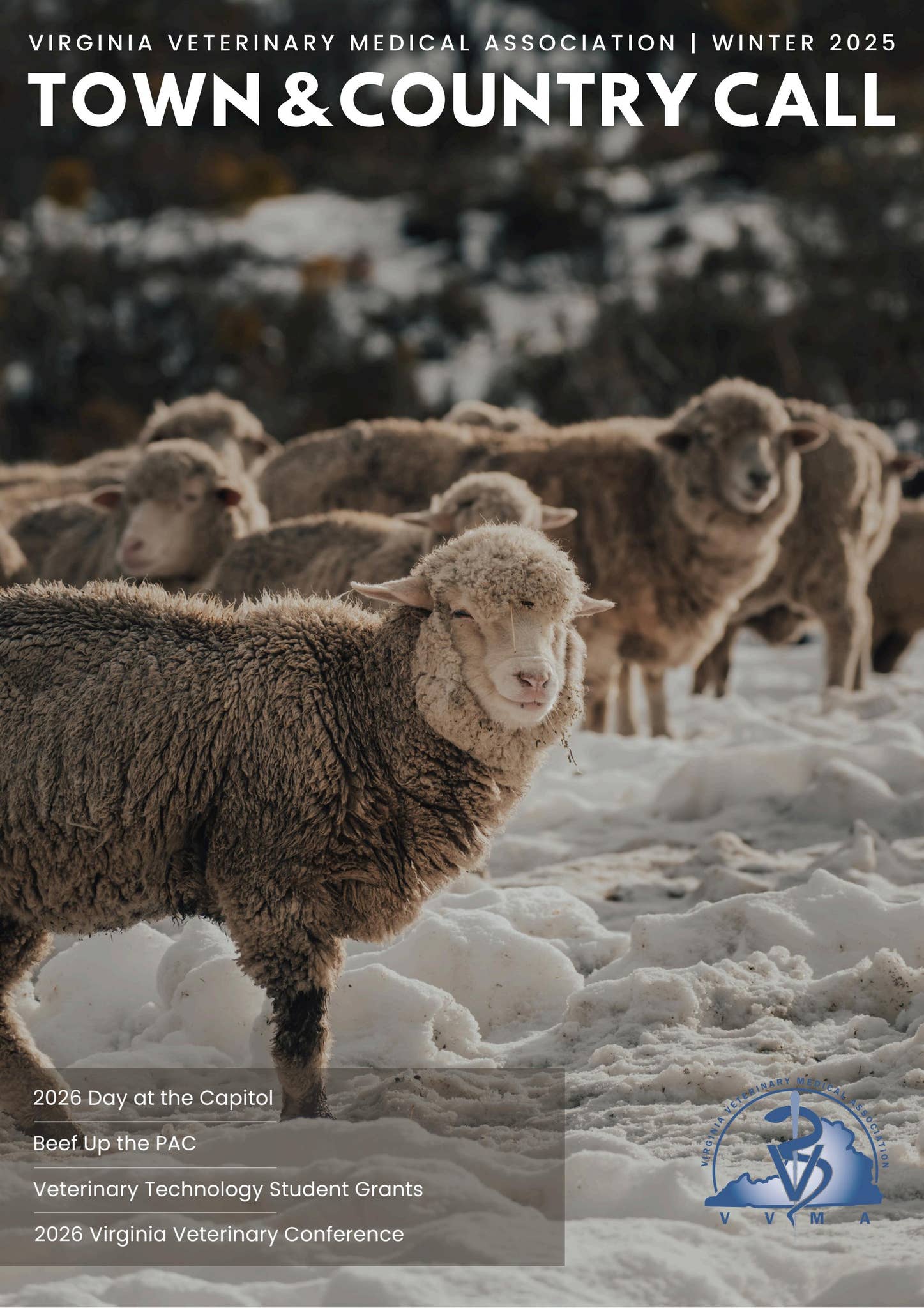 Winter 2025 Town & Country Call Newsletter by VirginiaVMA - Issuu