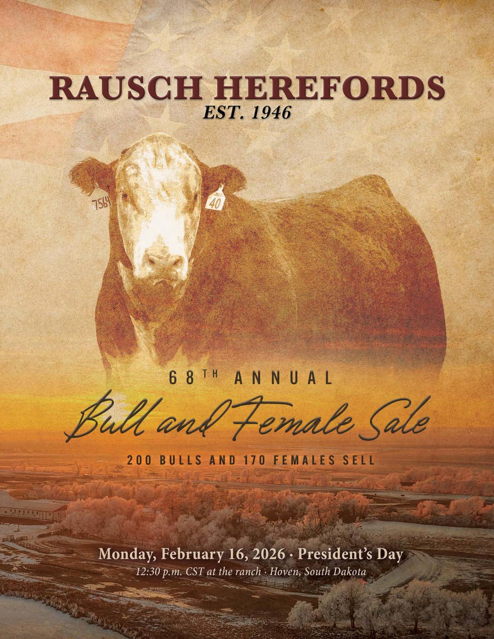 2026 Rausch Herefords Bull & Female Sale Catalog by Backroad Creative ...