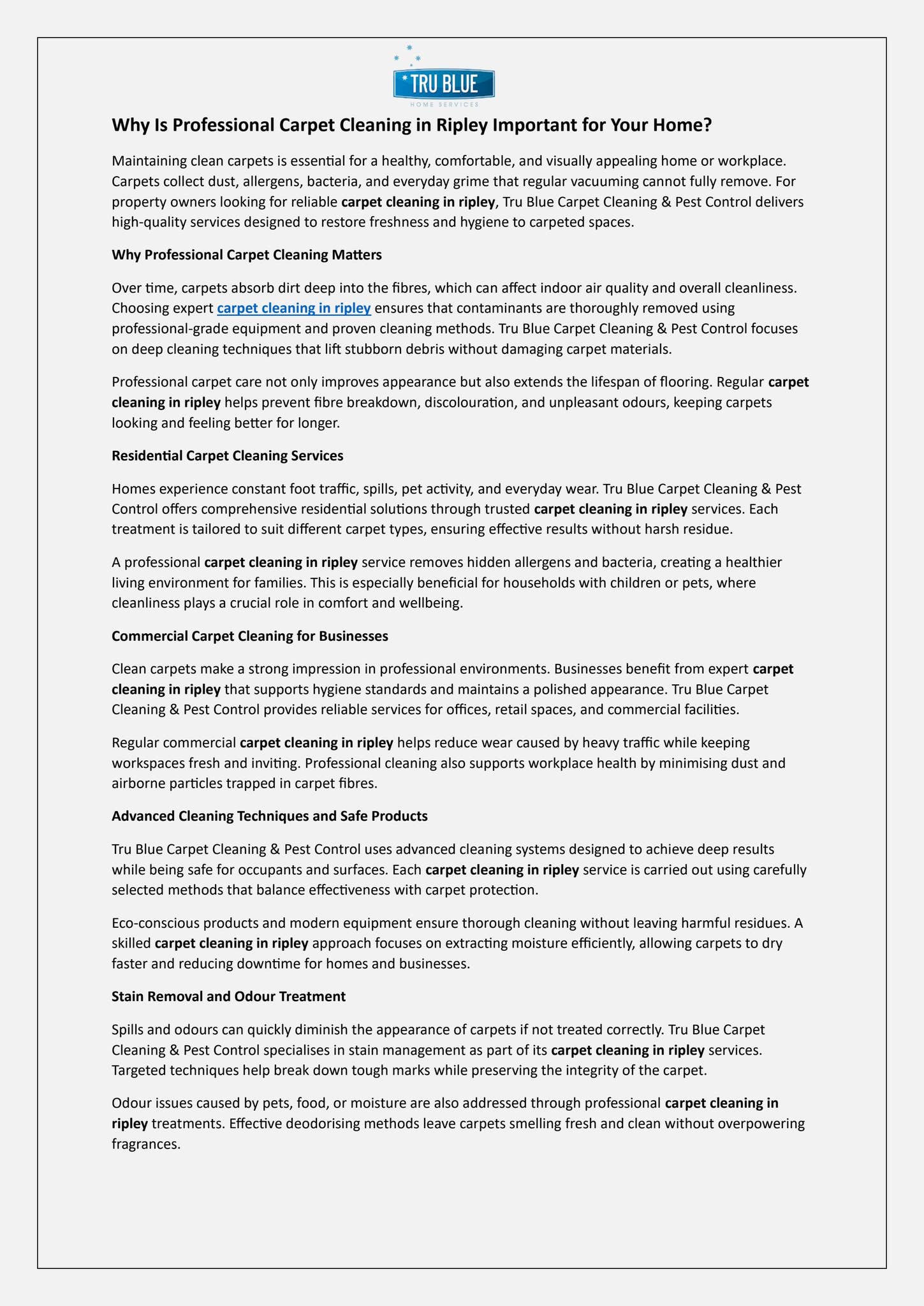 Why Is Professional Carpet Cleaning in Ripley Important for Your Home ...