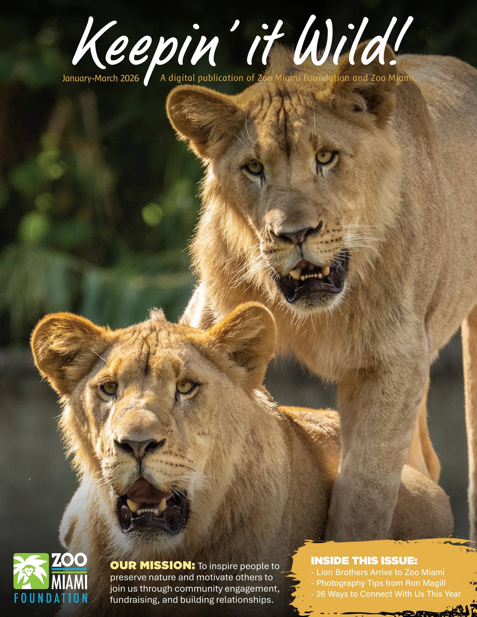 Keepin' it Wild January - March 2026 by Zoo Miami - Issuu
