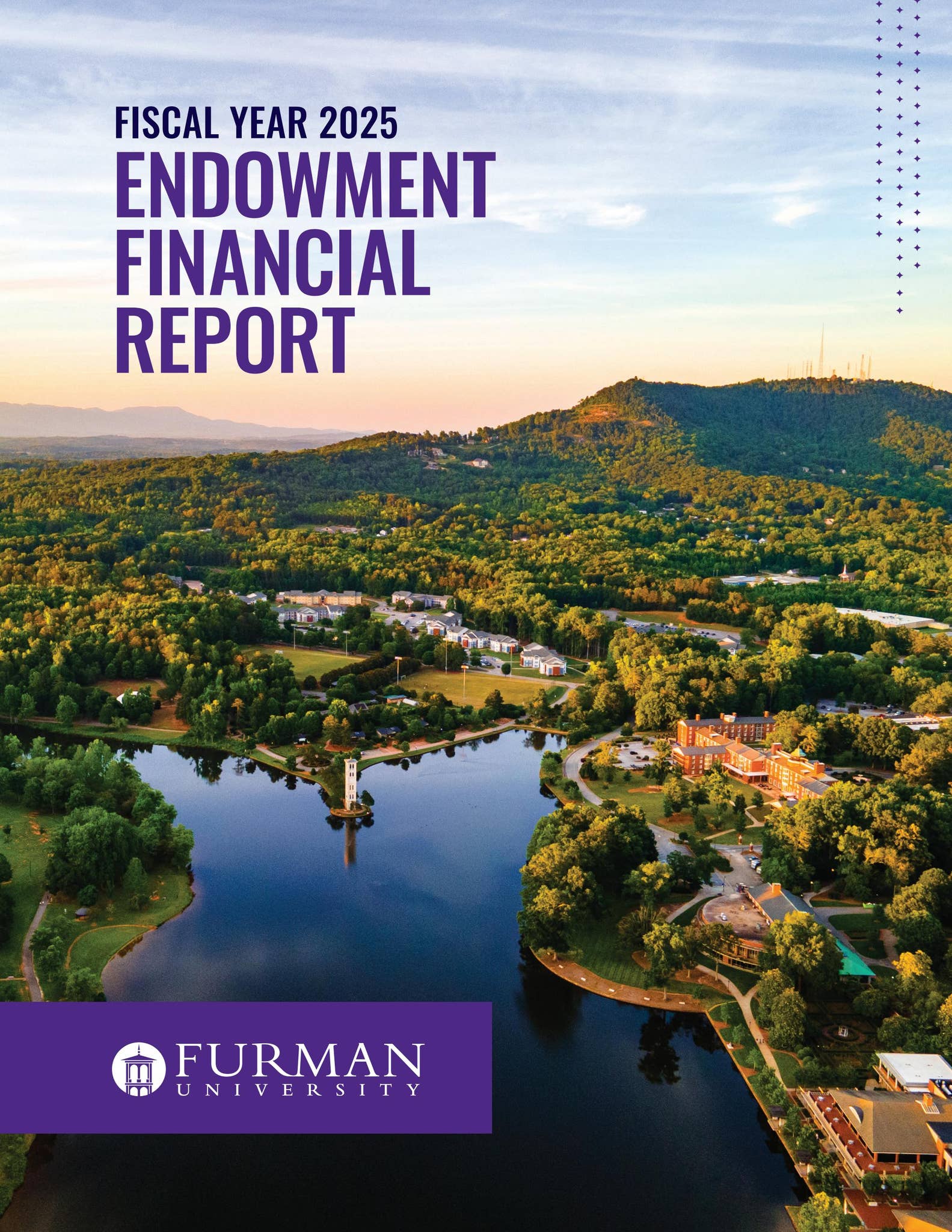 Annual Endowment Report FY26 by Furman University - Issuu
