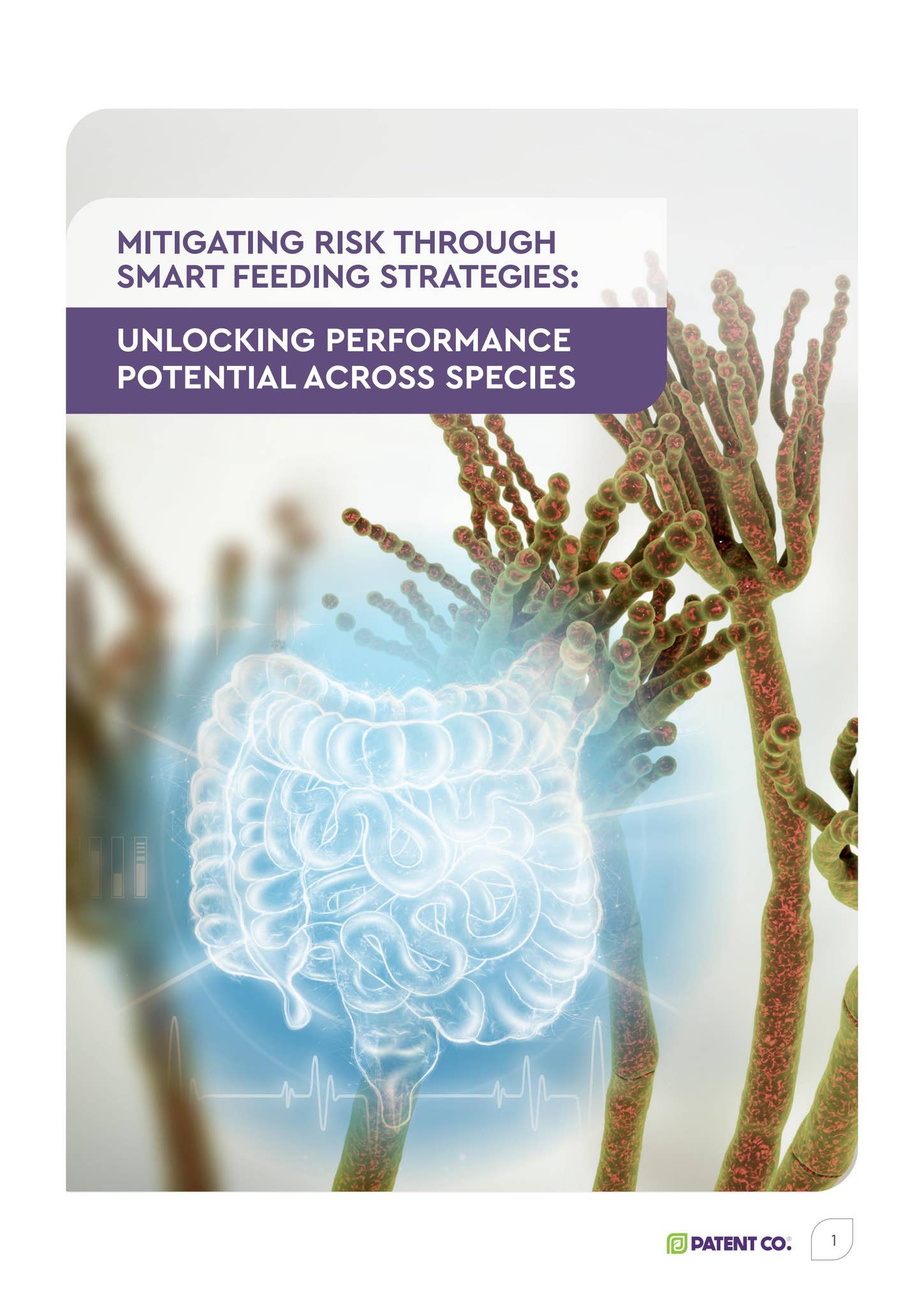 Mitigating risk through smart feeding strategies by agriNews - Issuu