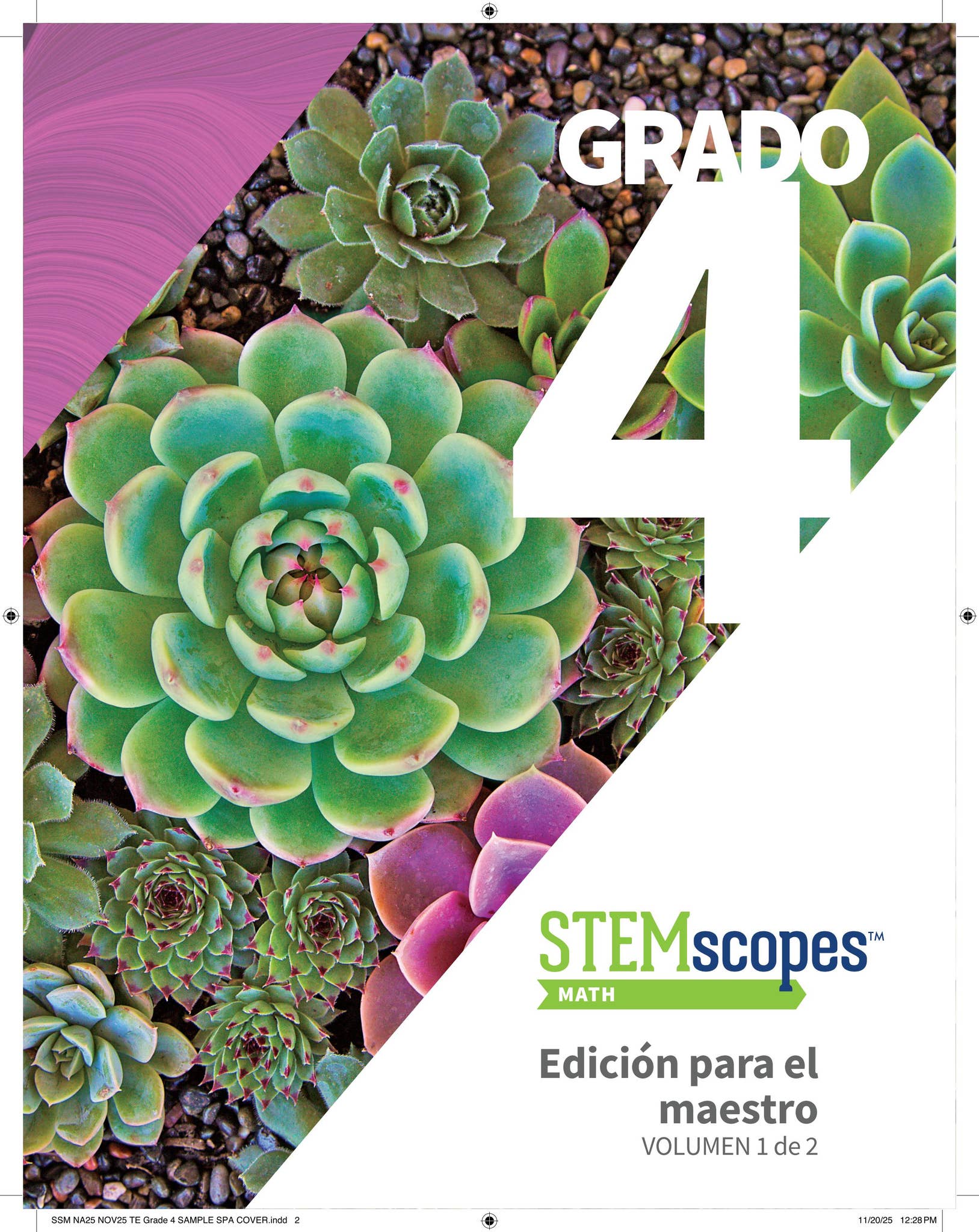SSM CA Spanish Grade 4 Teacher Editions Volumes 1 & 2 by ...