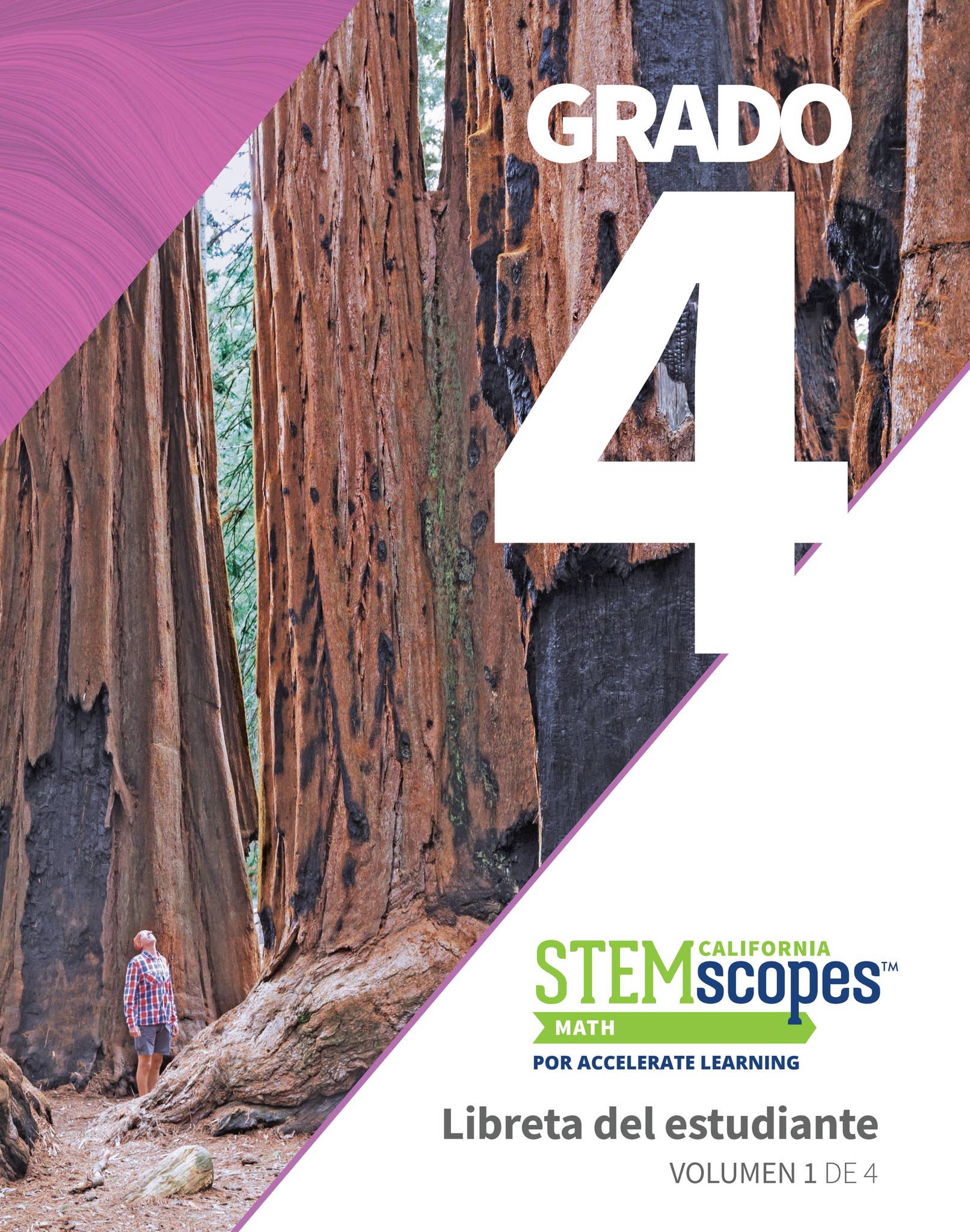 SSM CA Spanish Grade 4 Student Editions Volumes 1,2,3,4 by ...