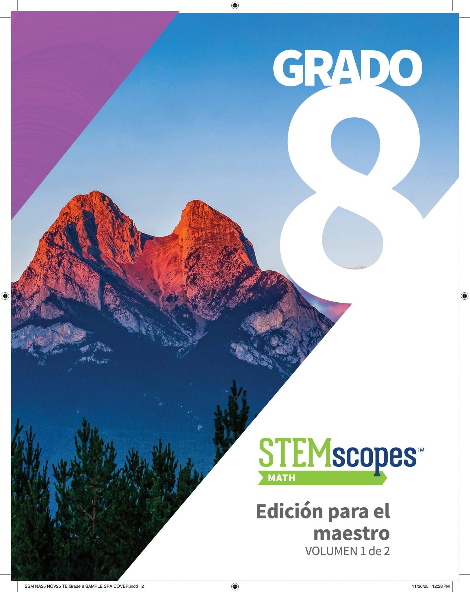 SSM CA Spanish Grade 8 Teacher Editions Volumes 1 & 2 by ...