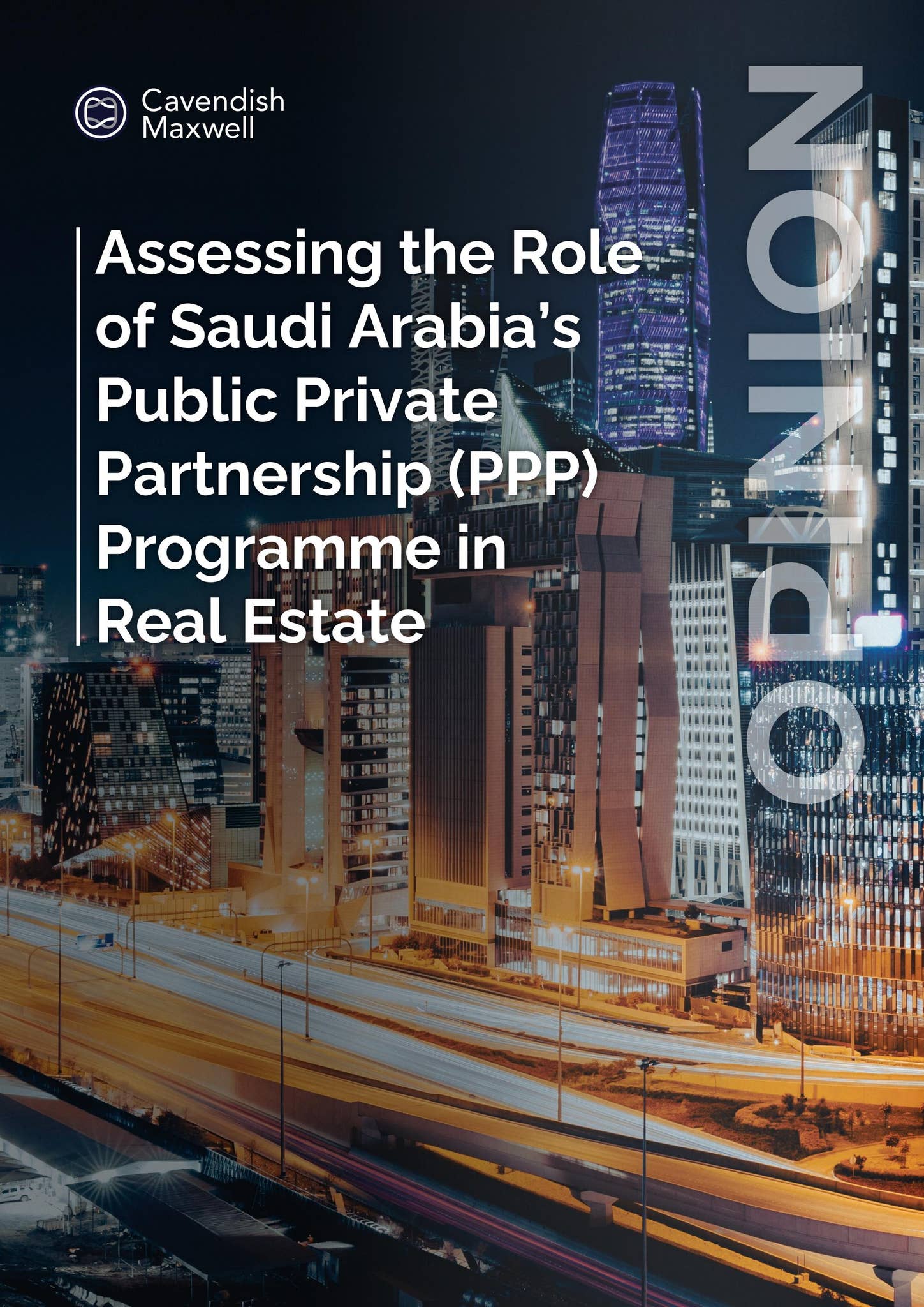 Assessing the Role of Saudi Arabia’s Public Private Partnership (PPP ...