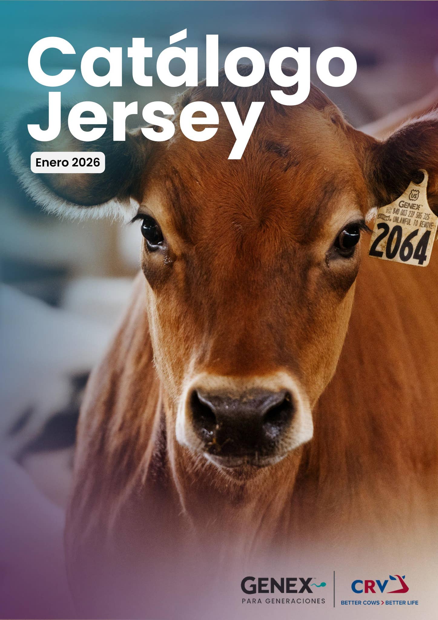Catálogo Jersey Enero 2026 by GENEX MEXICO - Issuu