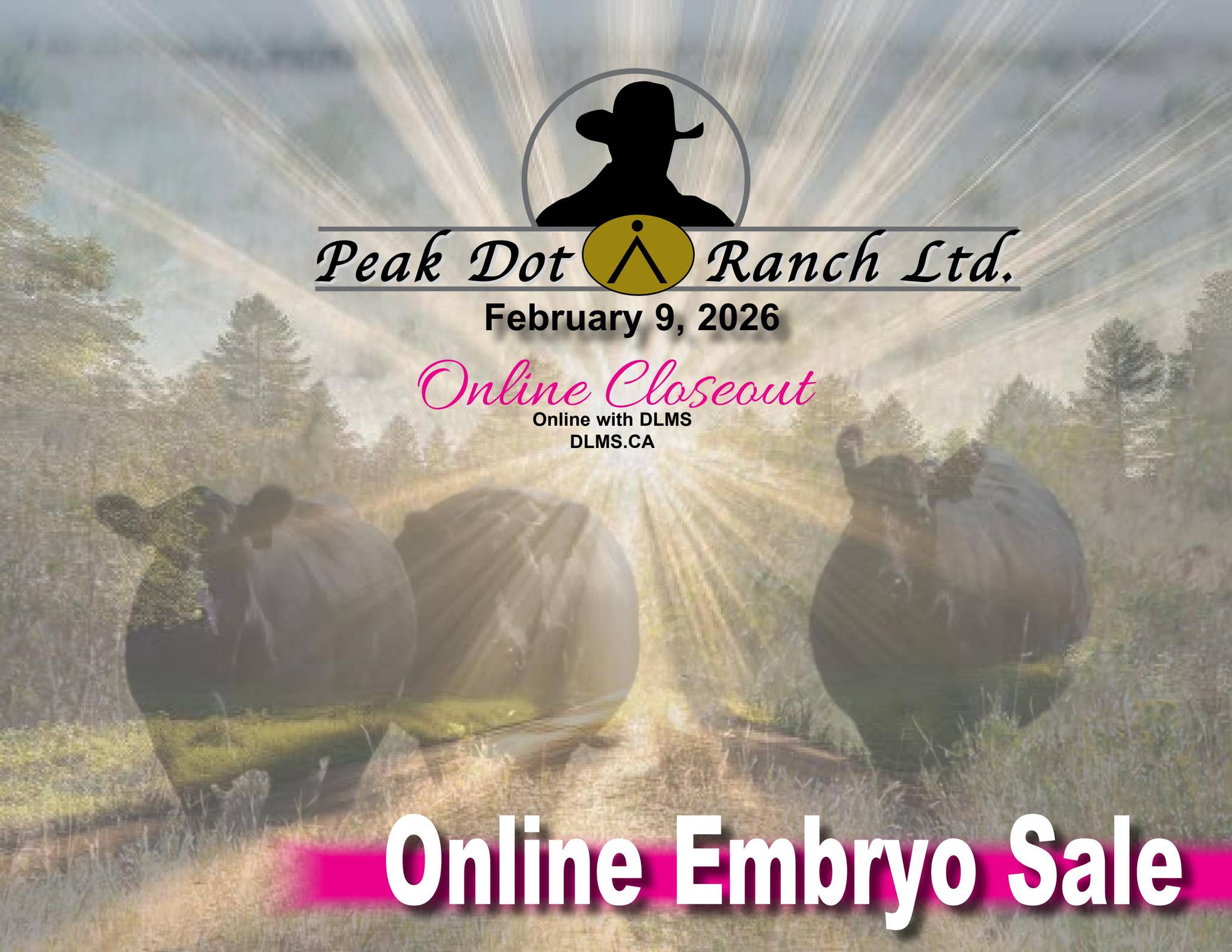 PEAKDOT ONLINE EMBRYO SALE by Today's Publishing Inc. - Issuu