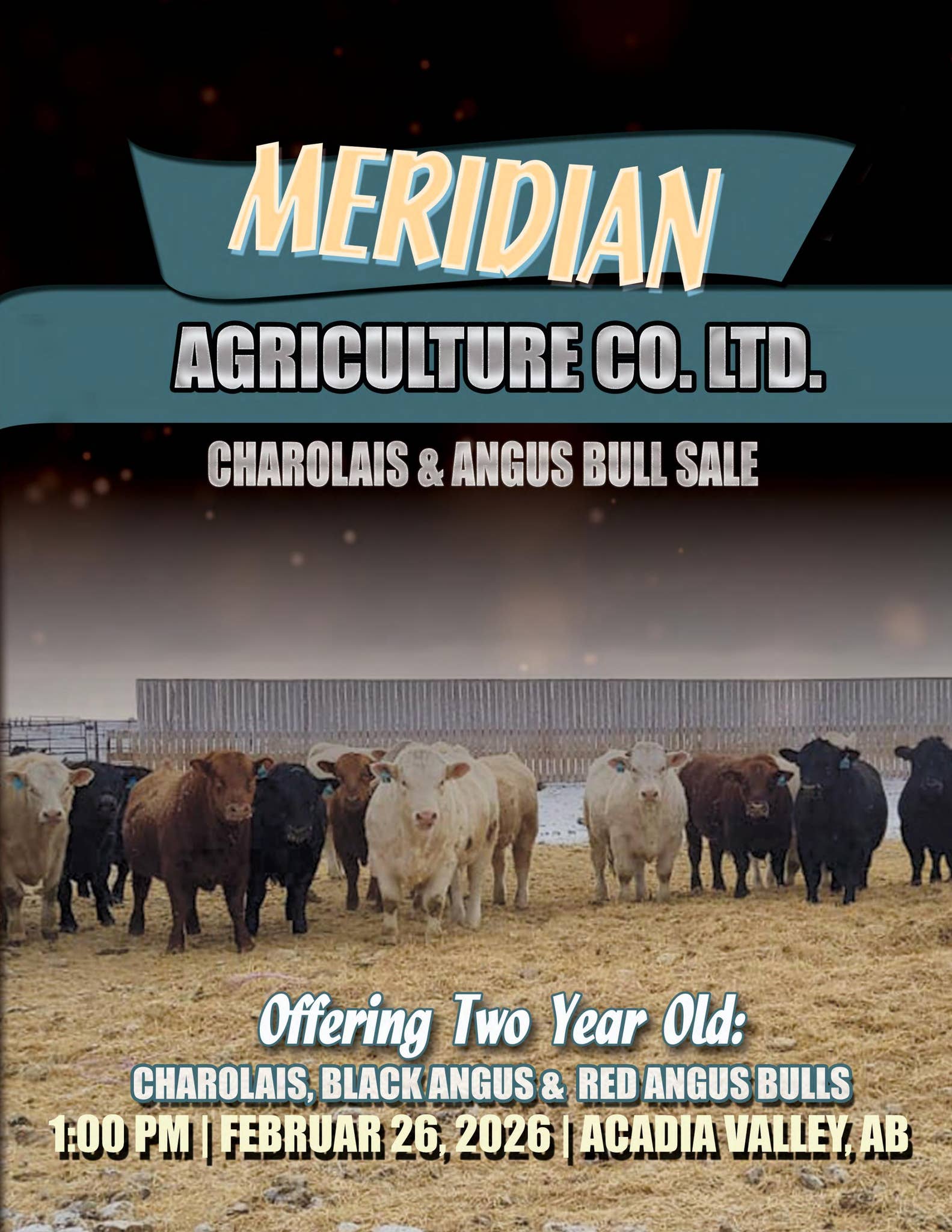 Meridian Ag. Bull Sale - Acadia Valley, AB by DLMS-Cattlevids.ca - Issuu