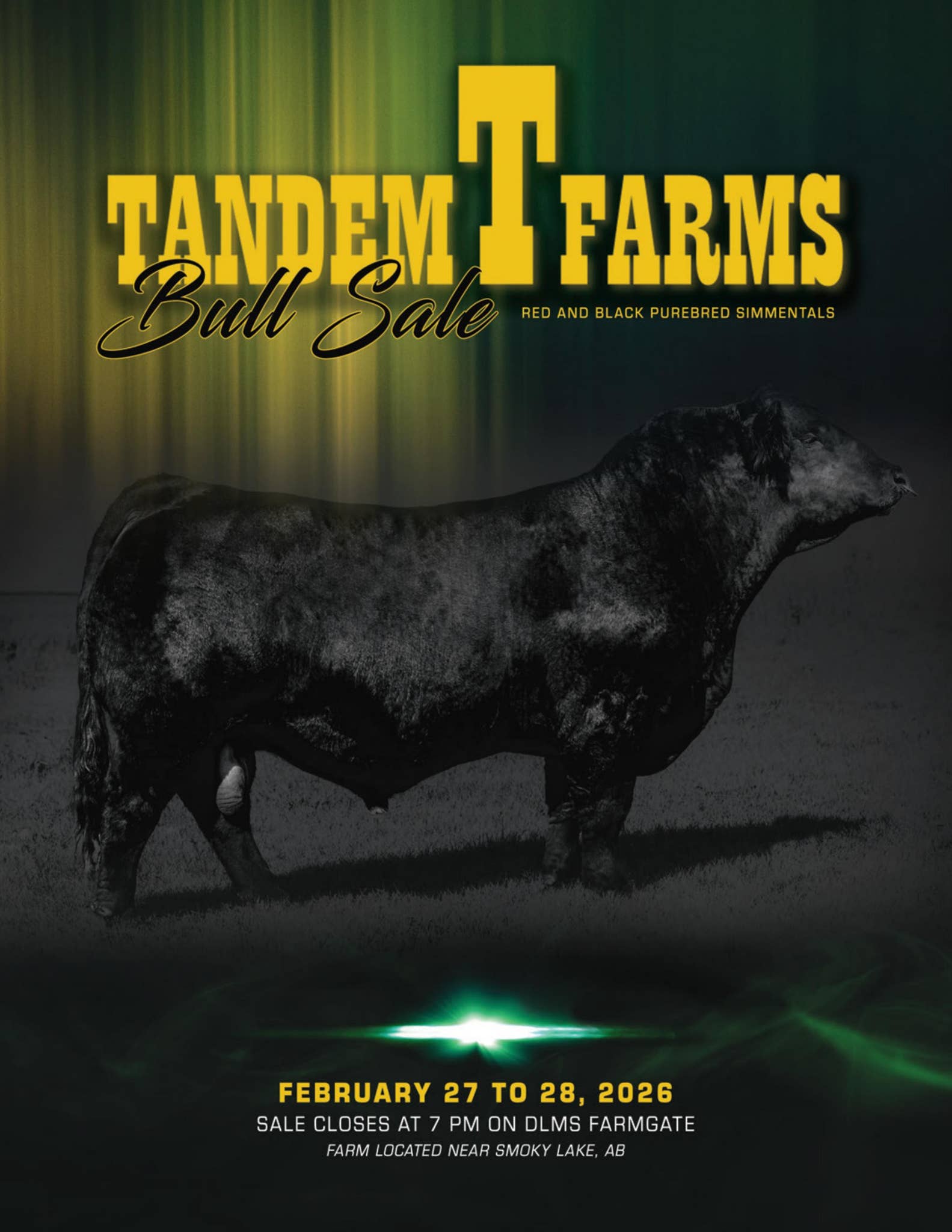 Tandem T Farms Red & Black Simmental Annual Bull Sale 2026 - DLMS Farm ...