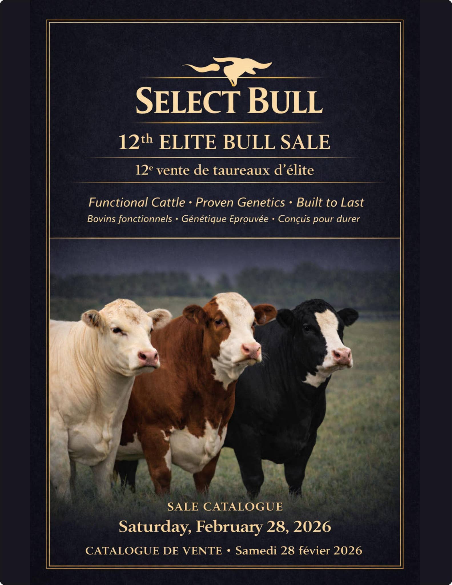 Quebec Select Bull Sale - Ferme Claude Lemay, Shawinigan, QC by DLMS ...