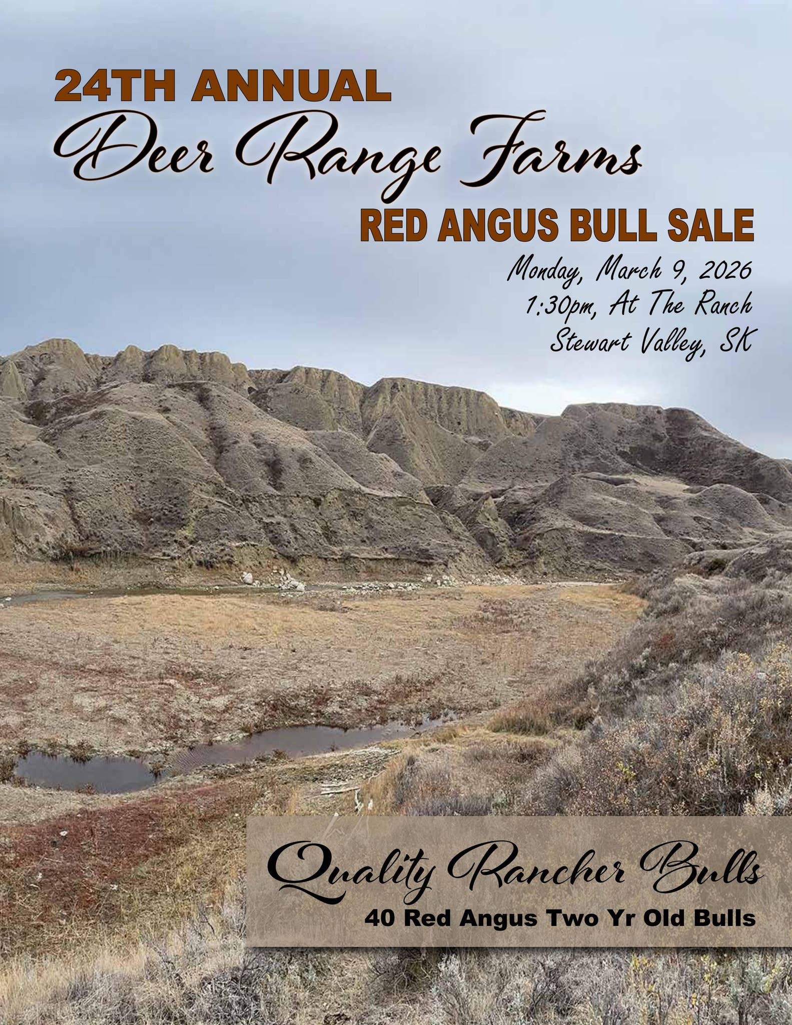 Deer Range 2 Year Old Red Angus Bull Sale - Stewart Valley, SK by DLMS ...