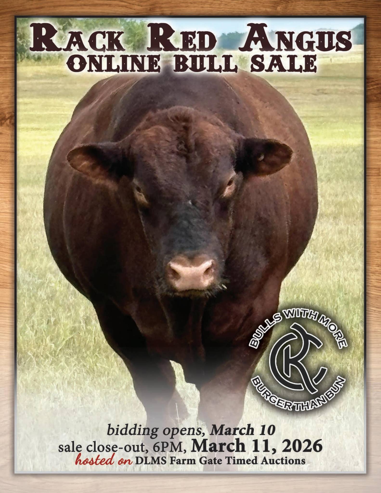 Rack Red Angus Bull Sale 2026 - DLMS Farm Gate Timed Auction by DLMS ...