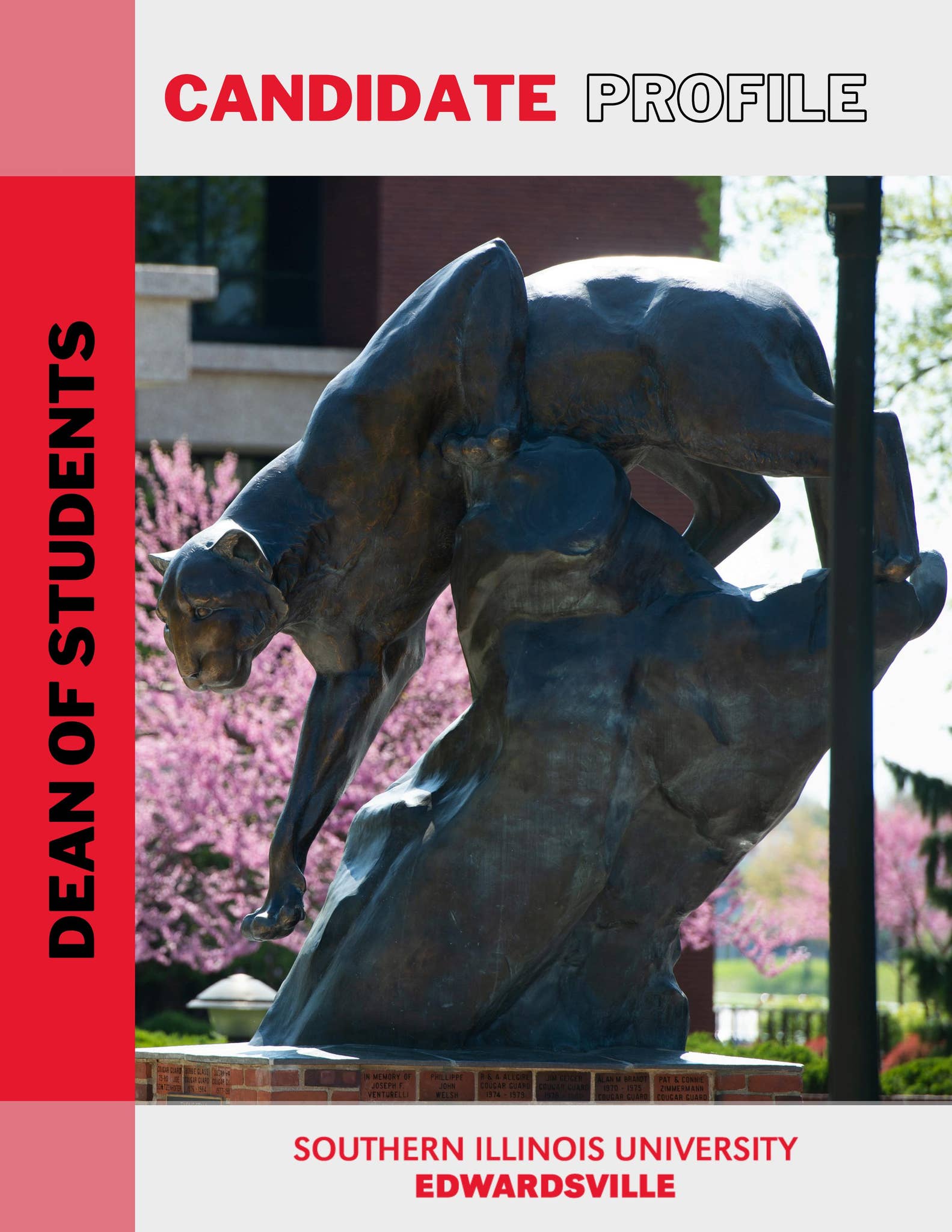 SIUE Dean of Students Candidate Profile by SIUE - Issuu