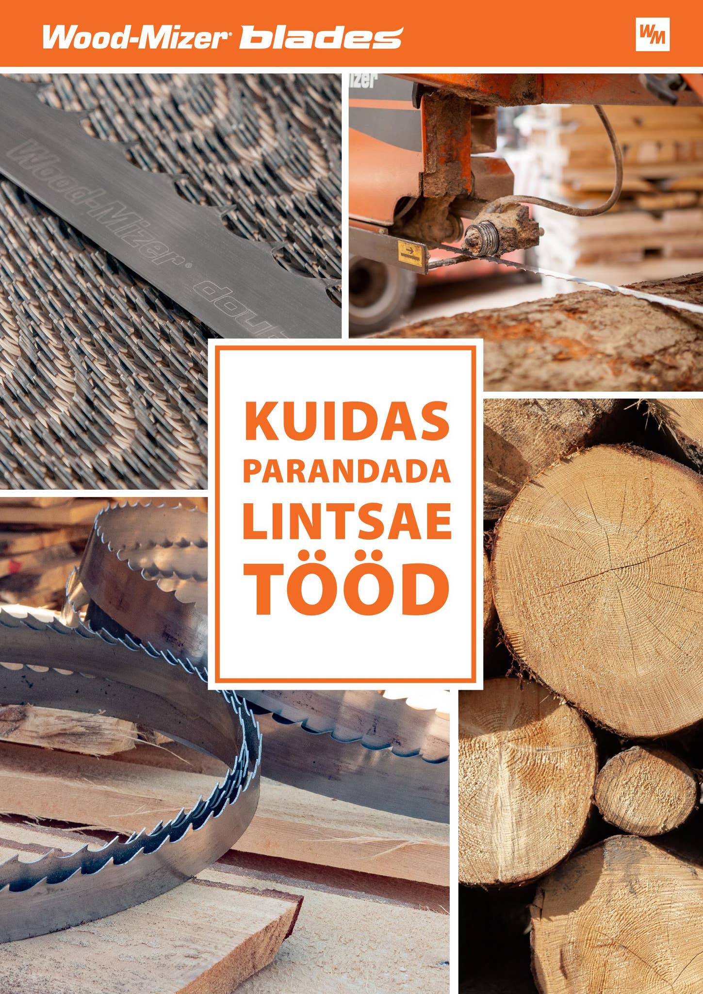 Kuidas parandada lintsae tööd by wood-mizer-europe - Issuu