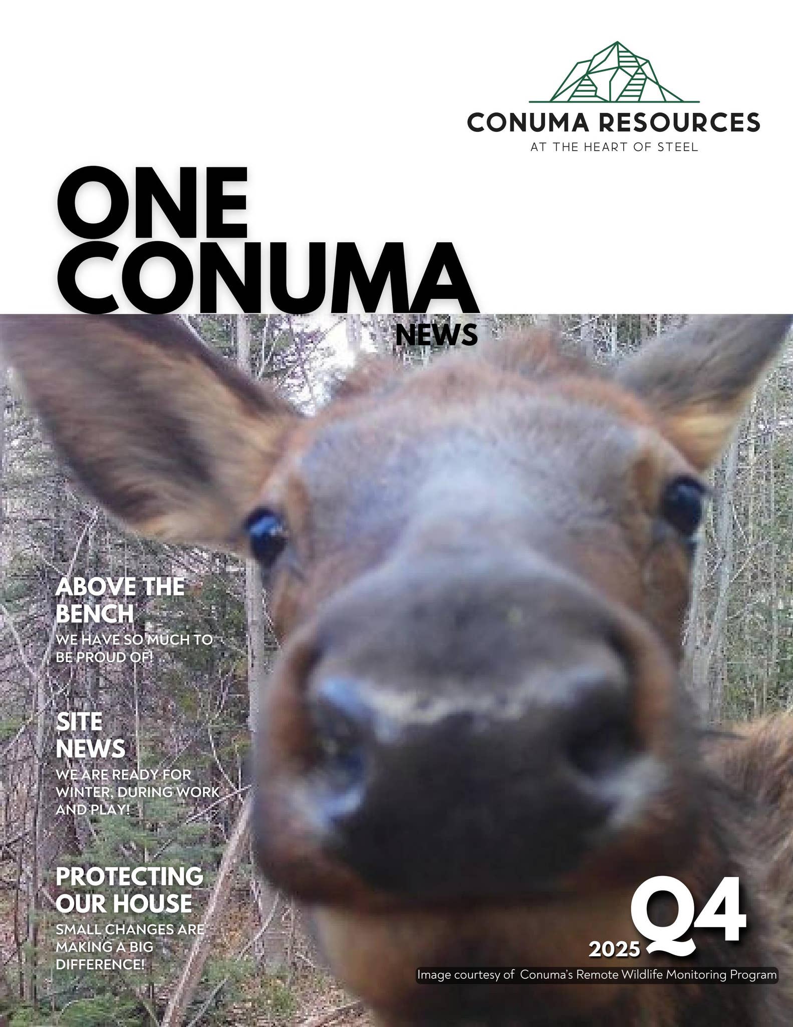 Q4 Newsletter - December 2025 by Conuma Resources Limited - Issuu