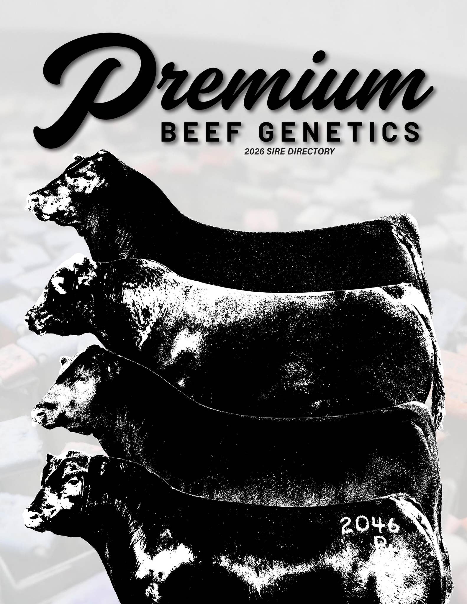 2026 Premium Beef Genetic's Sire Directory by Sara Frost-Porter - Issuu