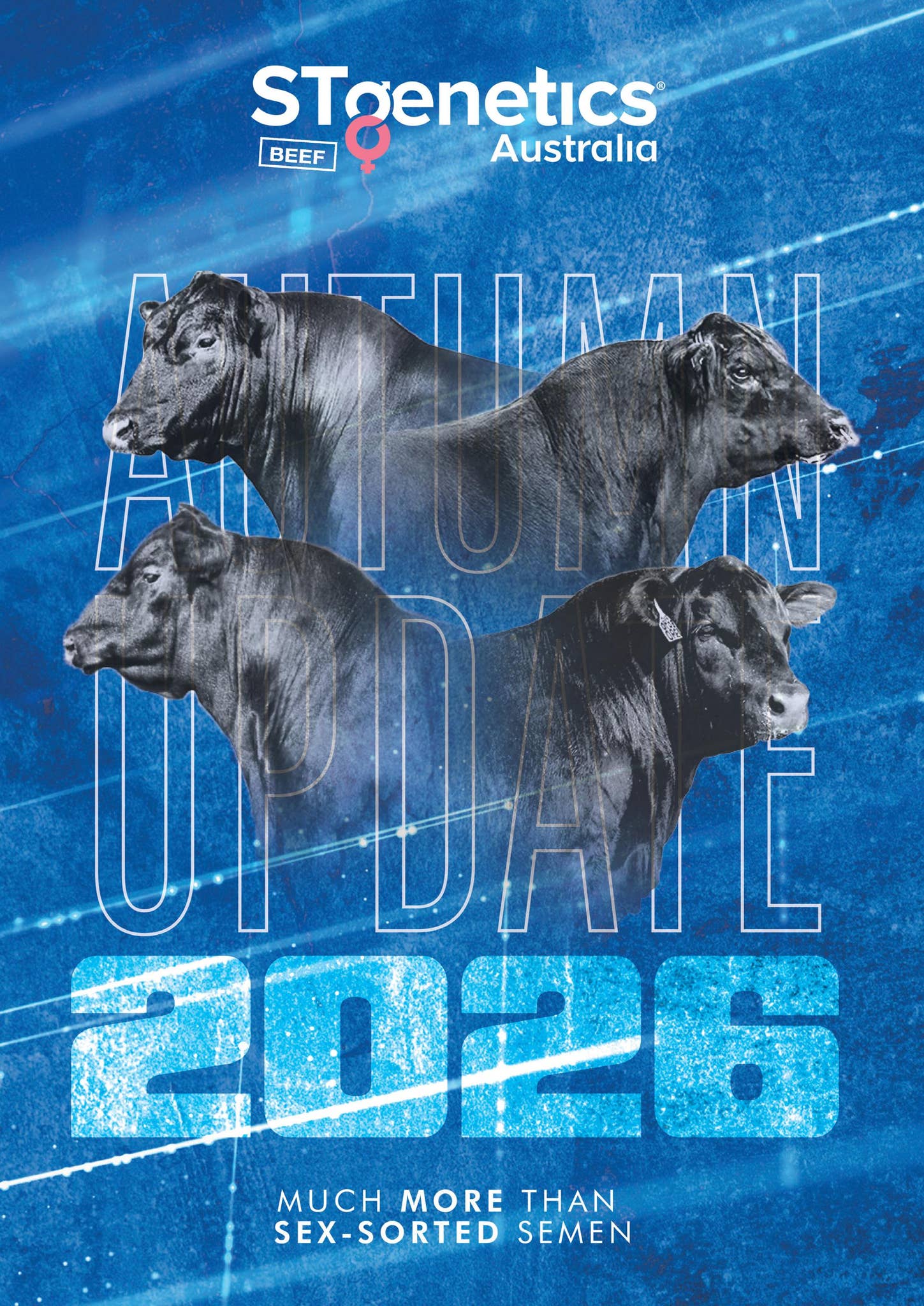 STgenetics Australia Autumn 2026 Beef Update by Stgen Australia - Issuu