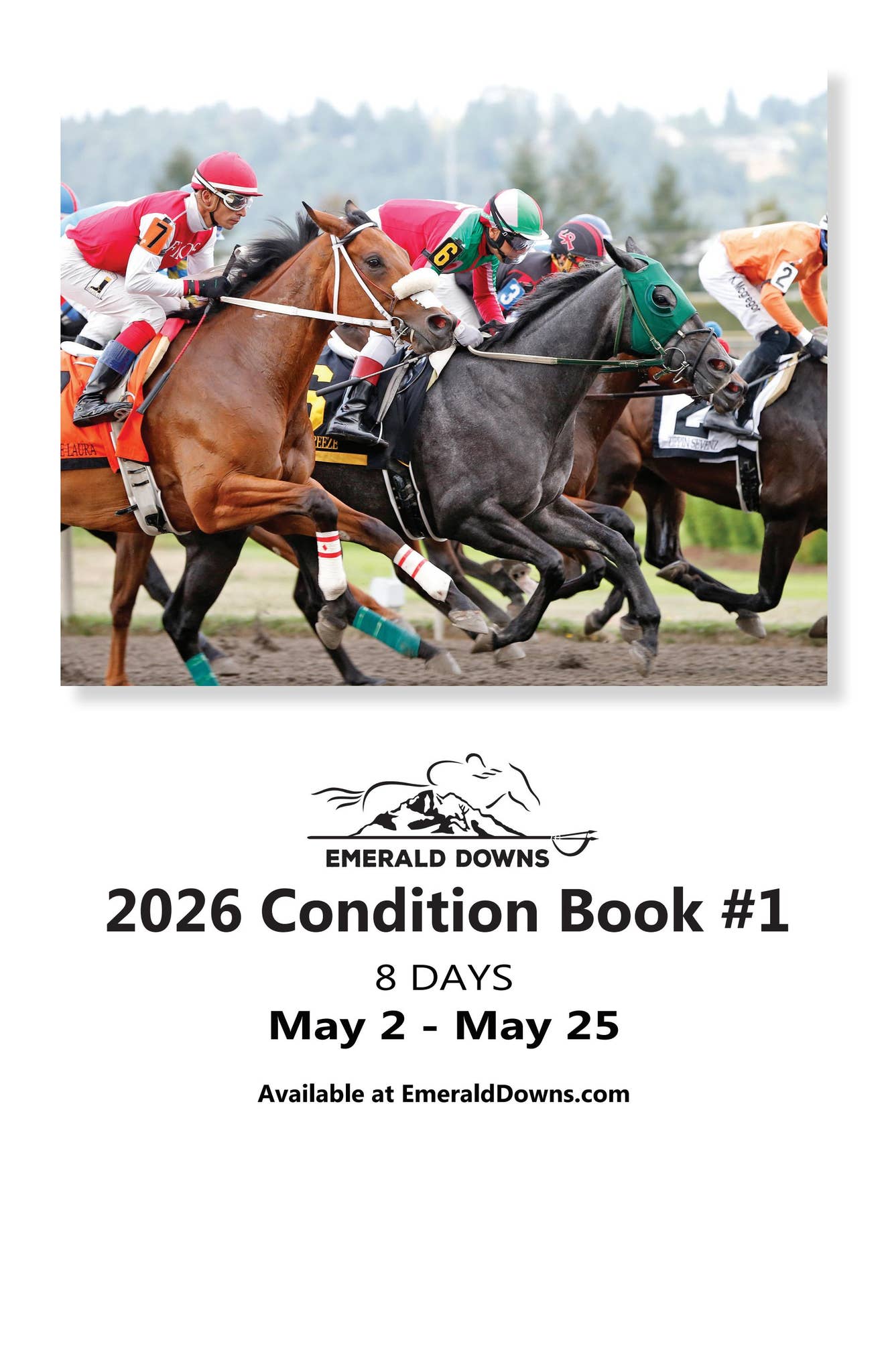 CB1_Condition Book 2026 by racingstatsandinfo.com - Issuu