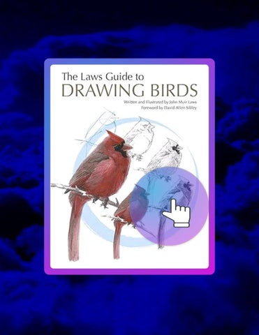 Digital Book The Laws Guide to Drawing Birds by John Muir Laws by ...