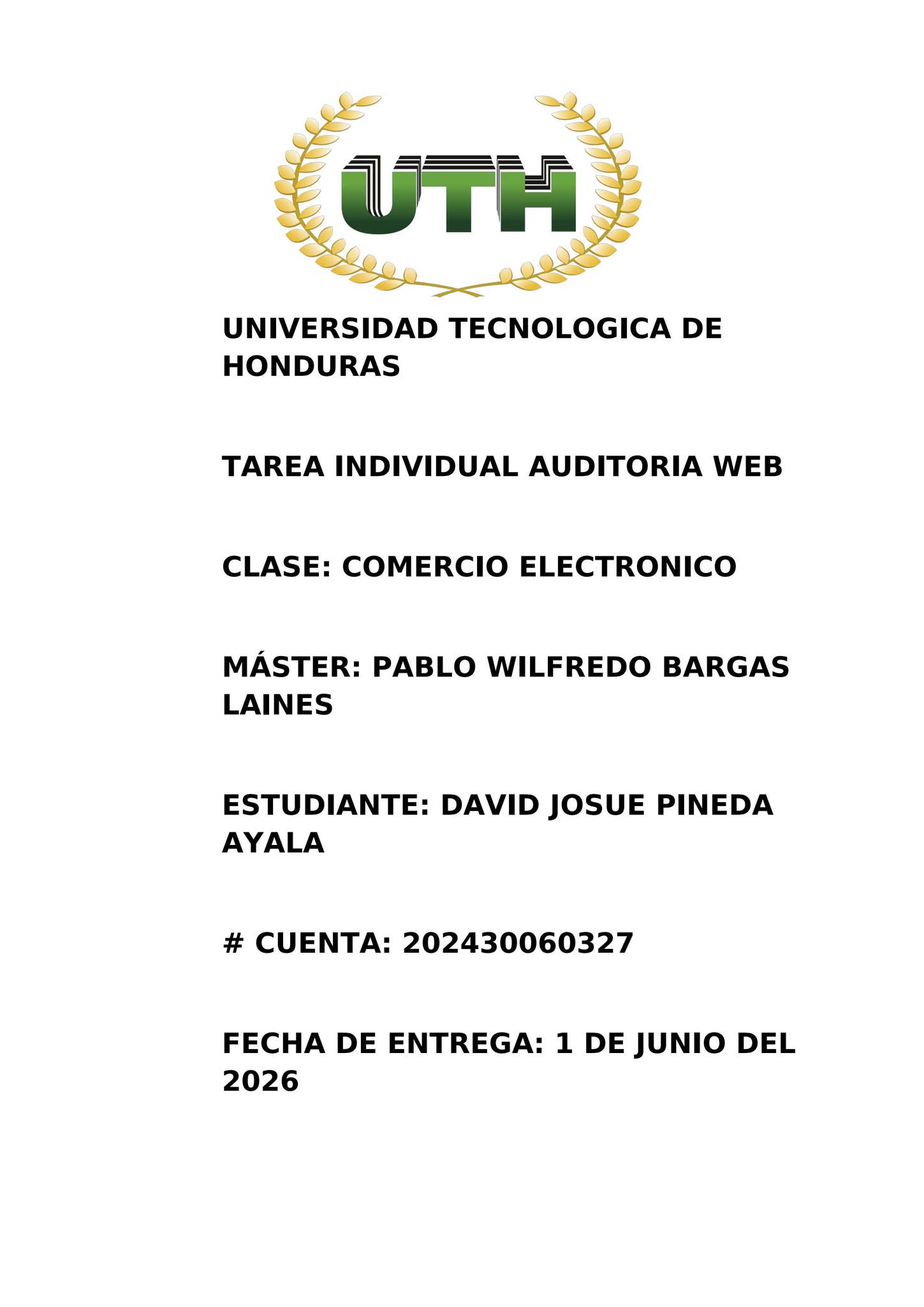 Tarea 1 Auditoria web by David Pineda - Issuu