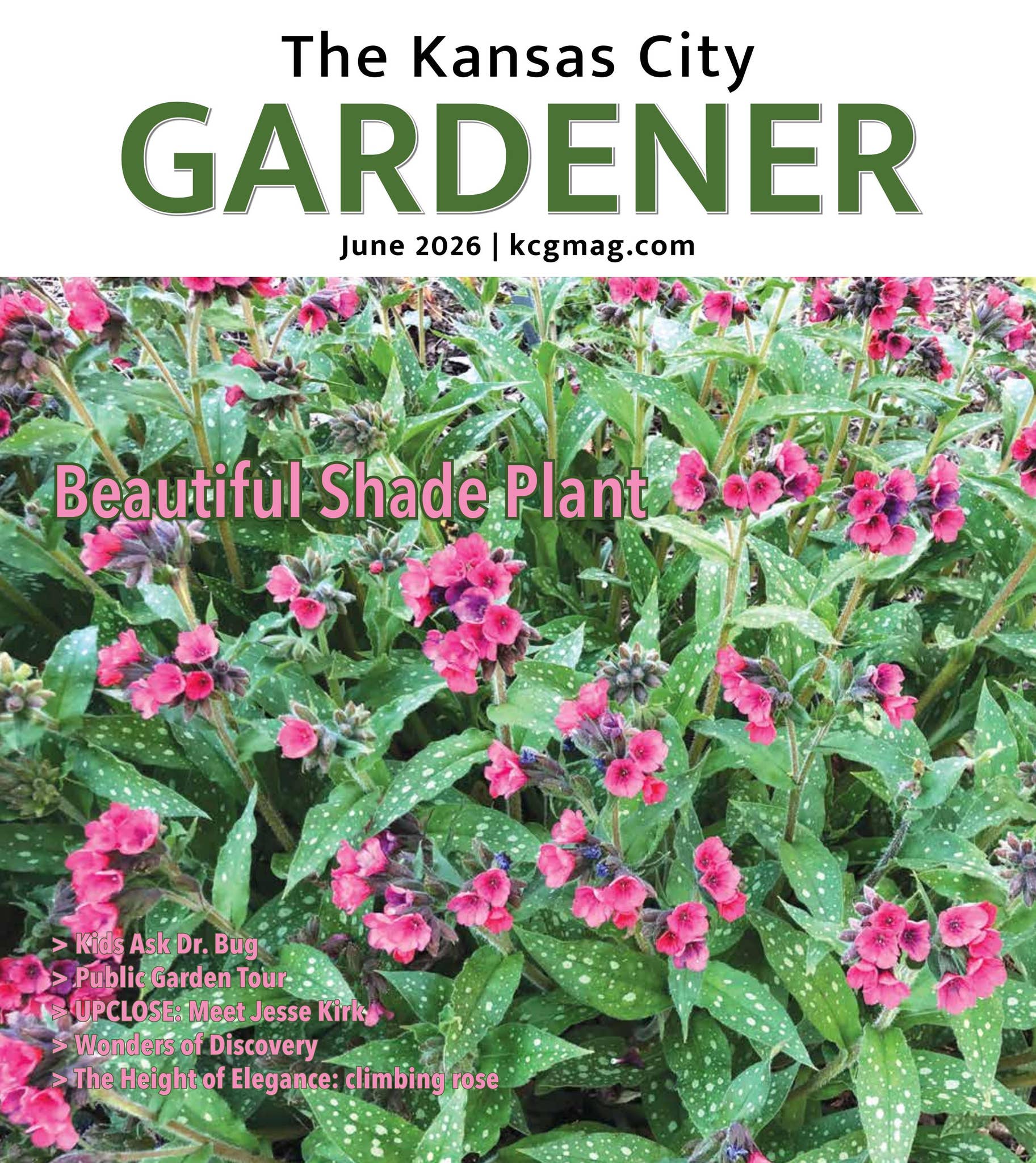 KCG Jun26 issueR by The Kansas City Gardener - Issuu