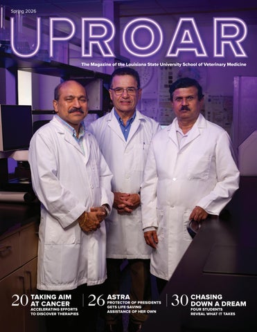 UpRoar magazine - Spring 2026 by LSU School of Veterinary Medicine - Issuu