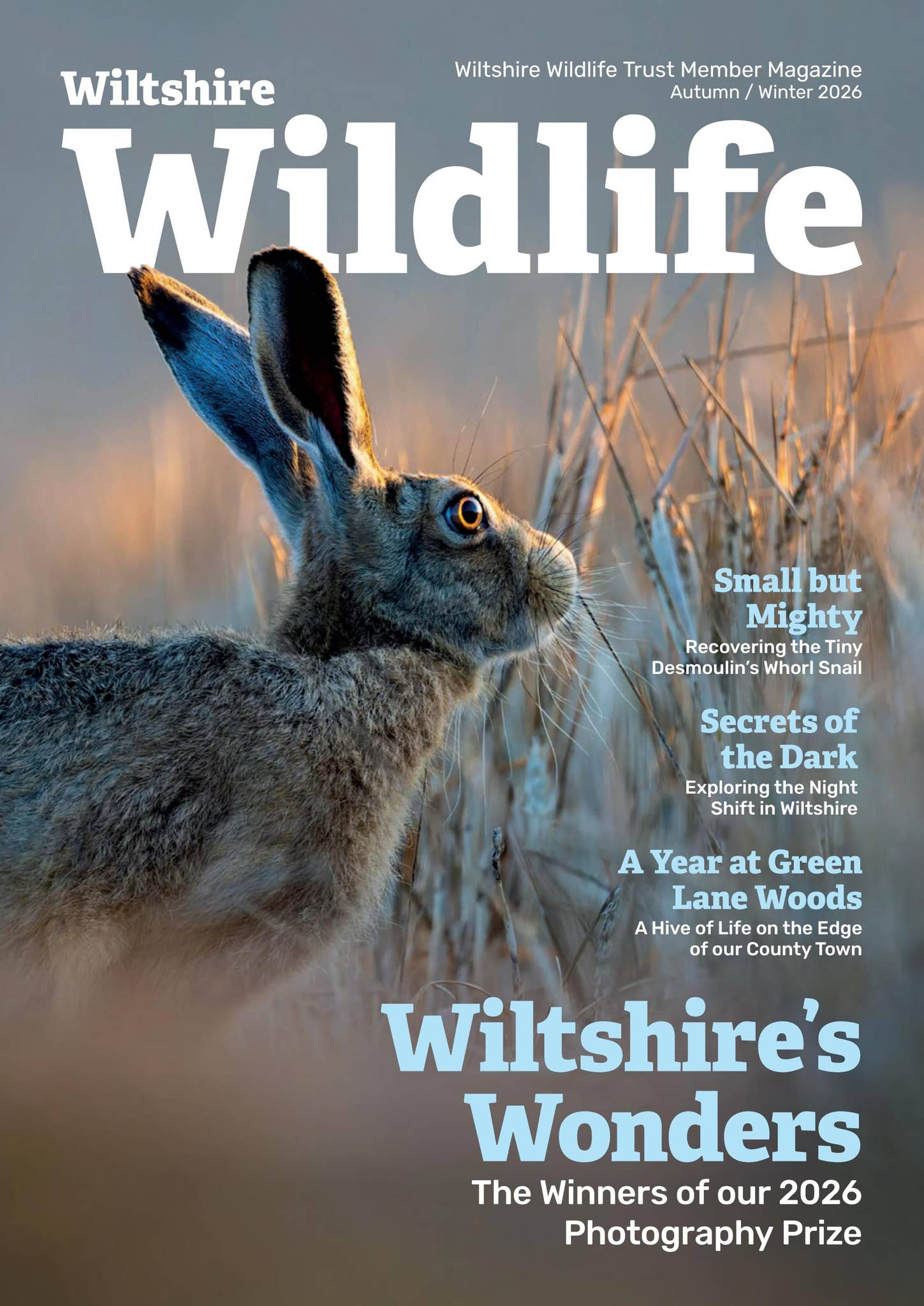 Wiltshire Wildlife Trust Autumn Winter Member's Magazine 2026 by ...
